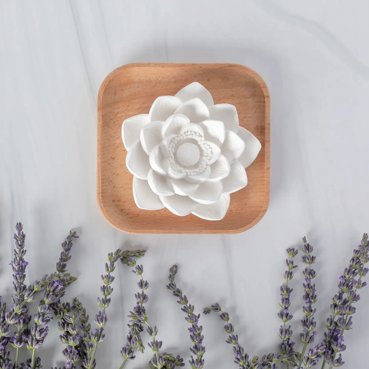 Passive Lotus Diffuser – Gig Harbor Apothecary LLC